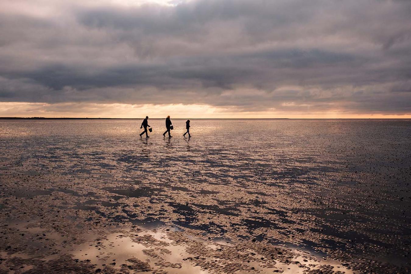 Waddeneilanden Denemarken | Ontdek Fanø, Mandø en Rømø