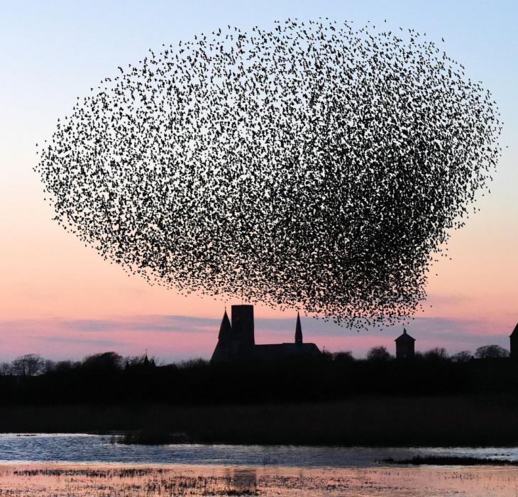 Denemarken reistip: Ribe, Esbjerg & de unieke Waddeneilanden